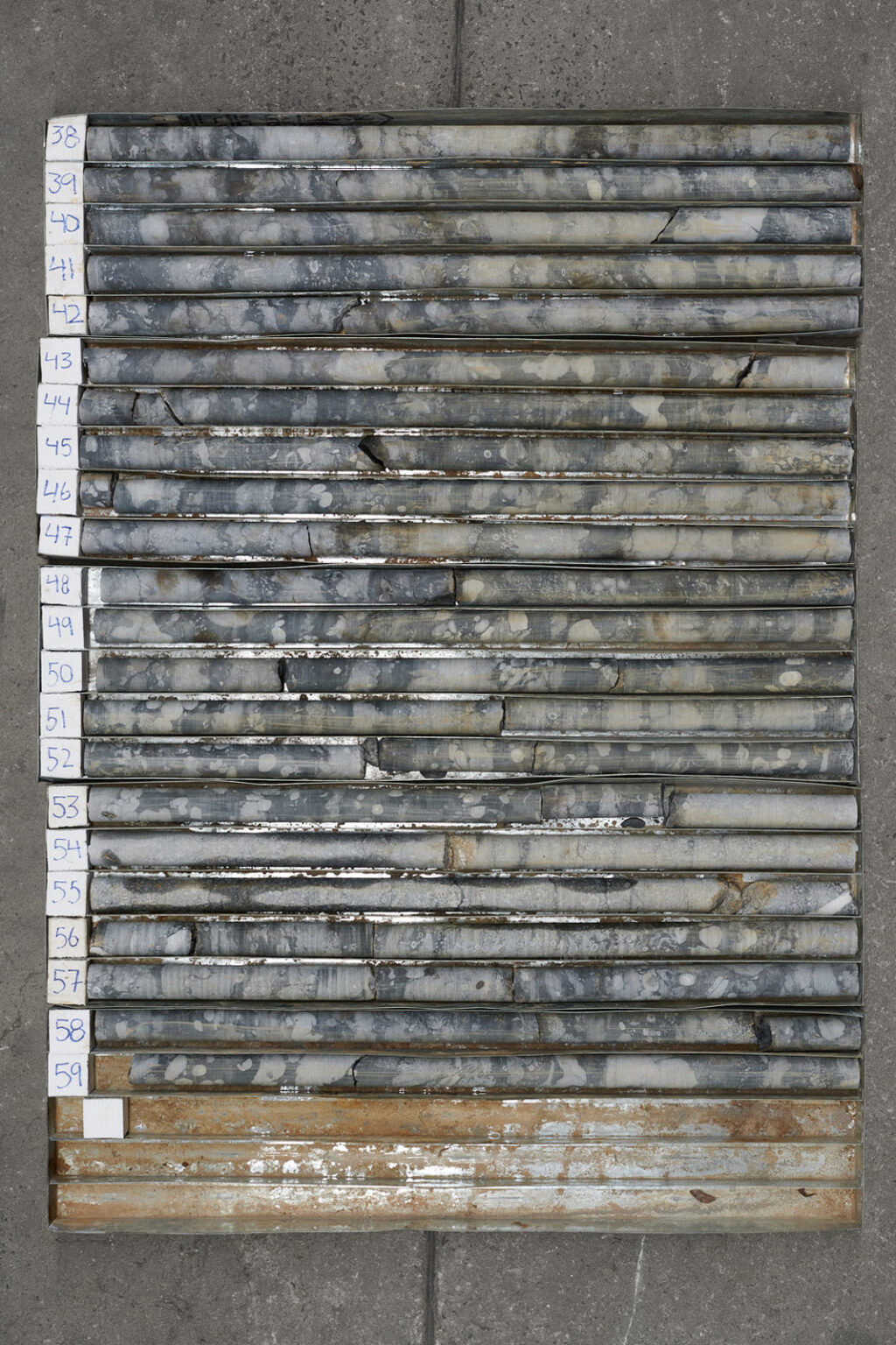 Molonglo — Deep dive: early beginnings as a coral reef